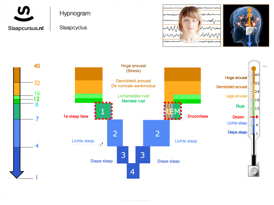 Slaapcyclus en slaapfasen volwassenen in een hypnogram.